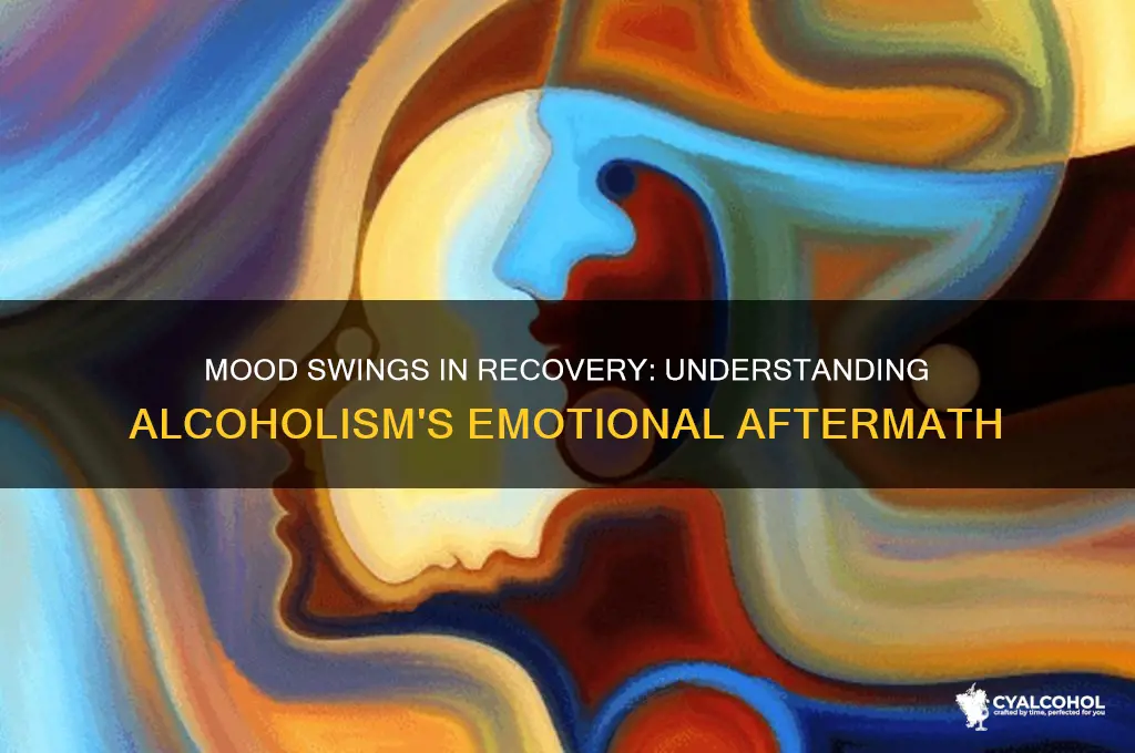 Mood Swings In Recovery: Understanding Alcoholism's Emotional Aftermath ...