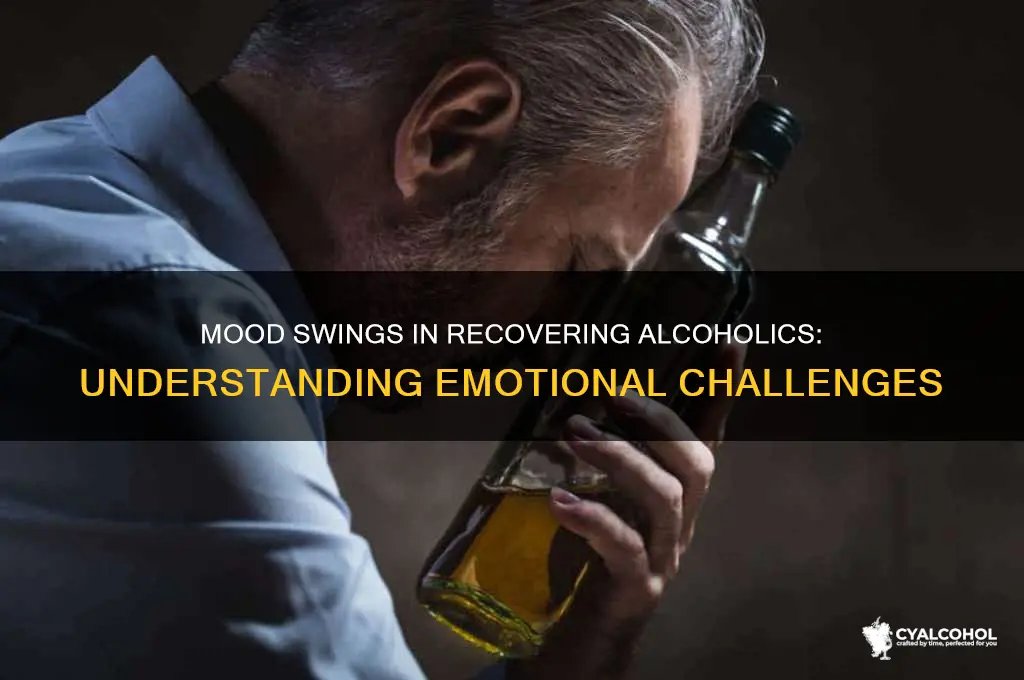 Mood Swings In Recovering Alcoholics: Understanding Emotional ...