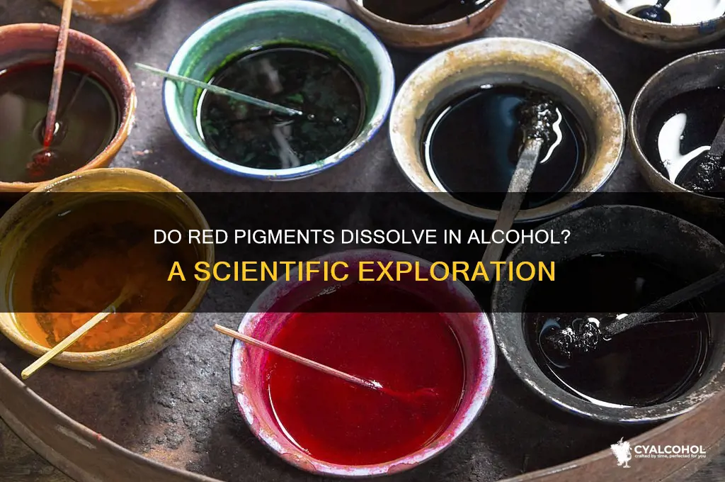 Do Red Pigments Dissolve In Alcohol? A Scientific Exploration | CyAlcohol
