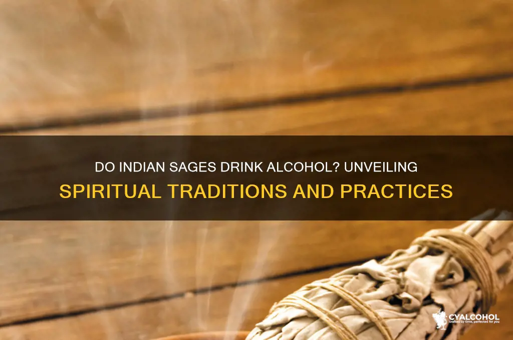 Do Indian Sages Drink Alcohol? Unveiling Spiritual Traditions And ...