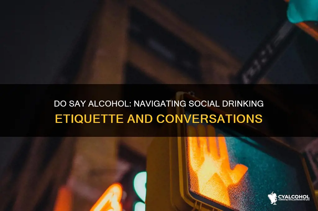 Do Say Alcohol: Navigating Social Drinking Etiquette And Conversations ...