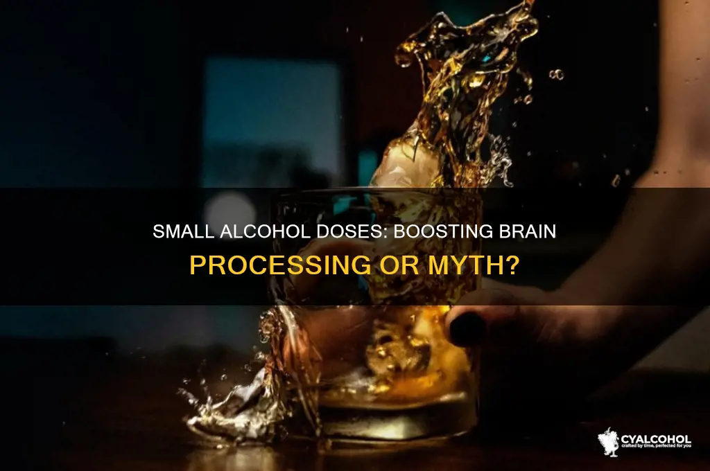 Small Alcohol Doses: Boosting Brain Processing Or Myth? | CyAlcohol