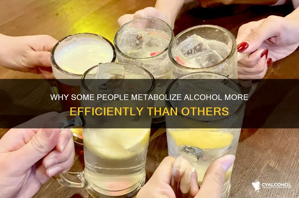 Why Some People Metabolize Alcohol More Efficiently Than Others | CyAlcohol