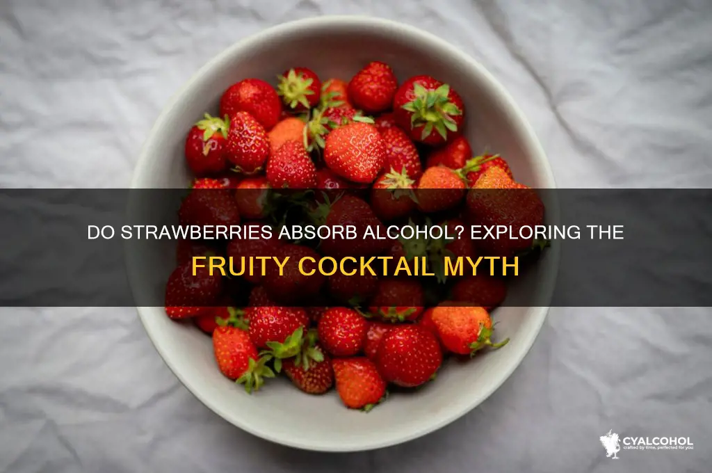 Do Strawberries Absorb Alcohol? Exploring The Fruity Cocktail Myth ...