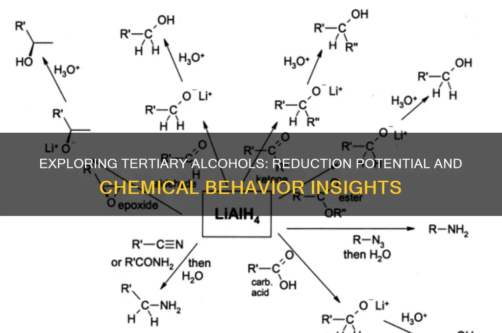 Exploring Tertiary Alcohols: Reduction Potential And Chemical Behavior ...