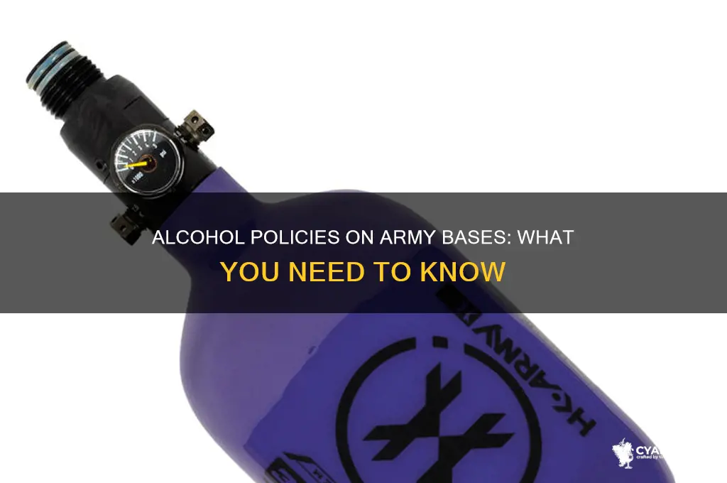 Alcohol Policies On Army Bases: What You Need To Know | CyAlcohol