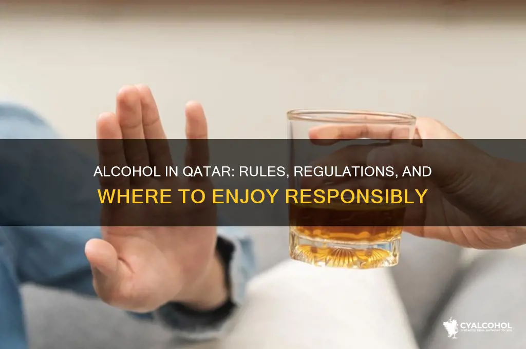 Alcohol In Qatar: Rules, Regulations, And Where To Enjoy Responsibly ...