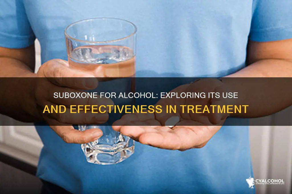 Suboxone For Alcohol: Exploring Its Use And Effectiveness In Treatment ...