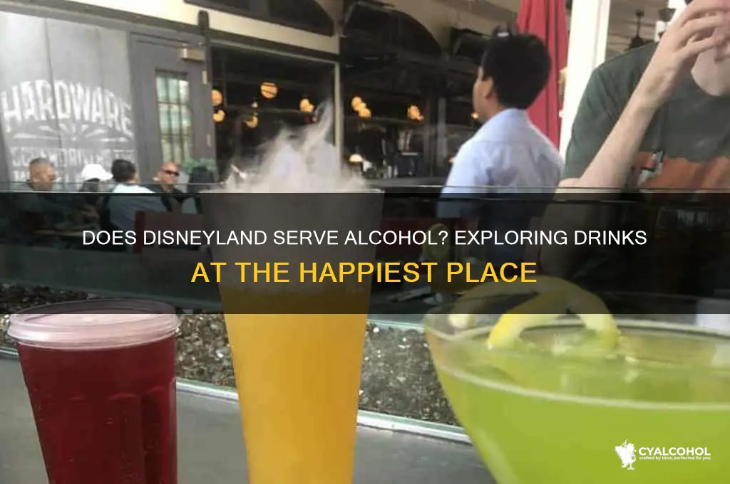 Does Disneyland Serve Alcohol? Exploring Drinks At The Happiest Place ...