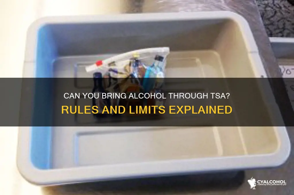 Can You Bring Alcohol Through Tsa? Rules And Limits Explained | CyAlcohol