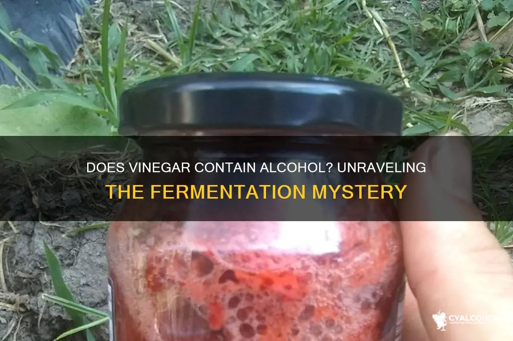 Does Vinegar Contain Alcohol? Unraveling The Fermentation Mystery ...