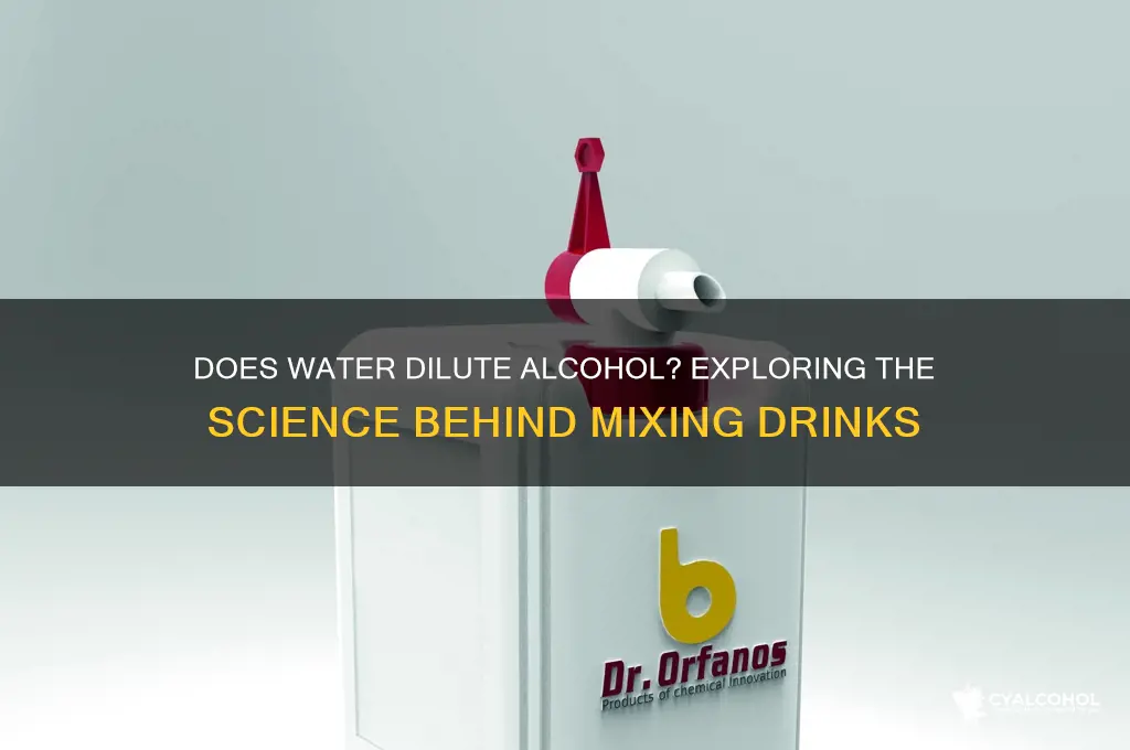 Does Water Dilute Alcohol? Exploring The Science Behind Mixing Drinks ...