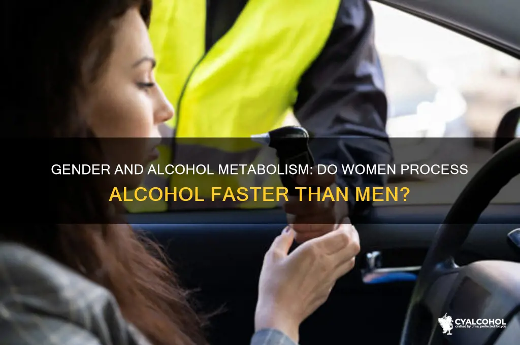 Gender And Alcohol Metabolism: Do Women Process Alcohol Faster Than Men ...