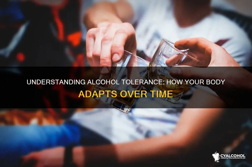 Understanding Alcohol Tolerance: How Your Body Adapts Over Time | CyAlcohol