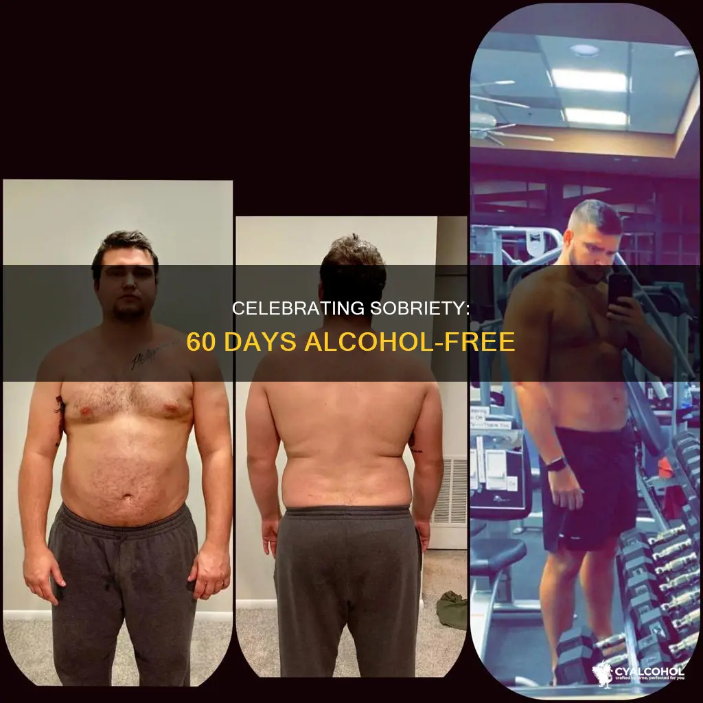 Celebrating Sobriety: 60 Days Alcohol-Free | CyAlcohol