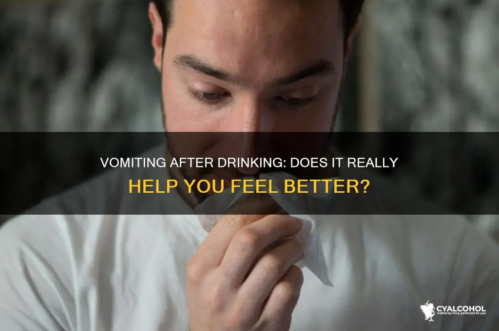 Vomiting After Drinking: Does It Really Help You Feel Better? | CyAlcohol