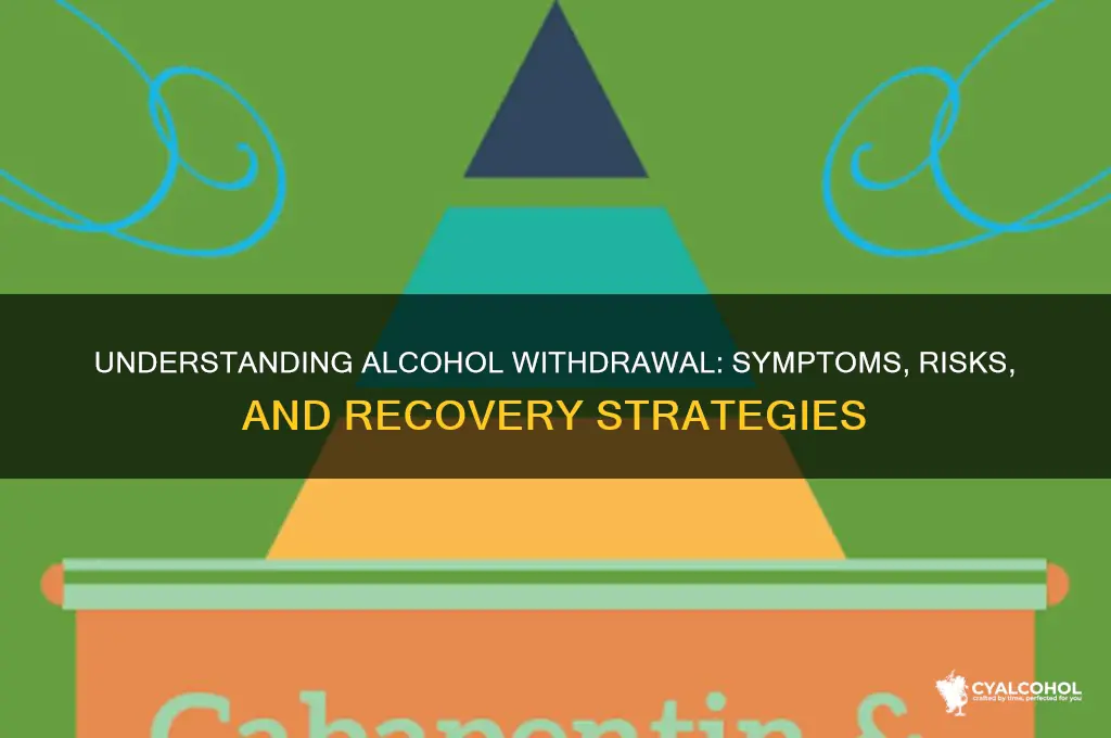 Understanding Alcohol Withdrawal: Symptoms, Risks, And Recovery ...