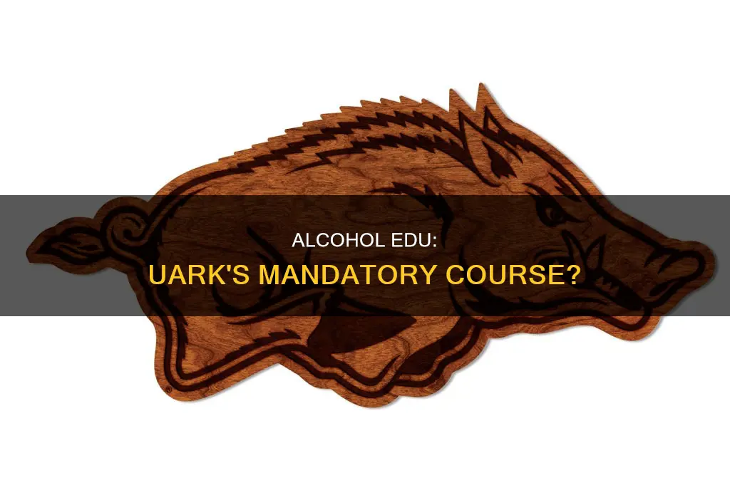 Alcohol Edu: Uark's Mandatory Course? | CyAlcohol