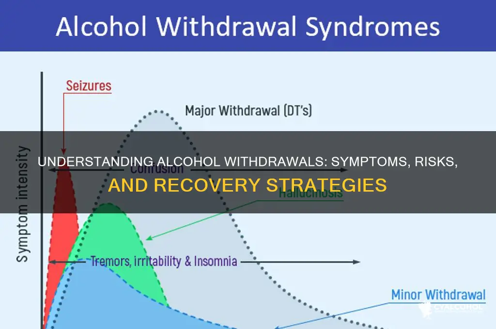 Understanding Alcohol Withdrawals: Symptoms, Risks, And Recovery ...