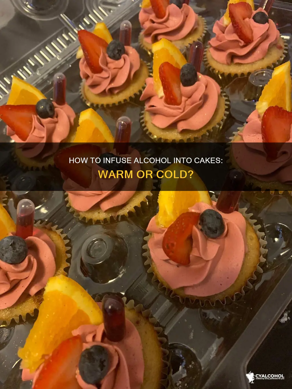 How To Infuse Alcohol Into Cakes: Warm Or Cold? | CyAlcohol