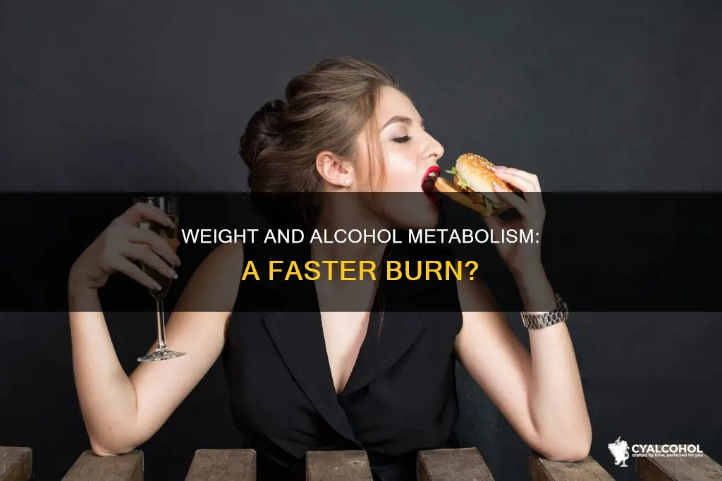 Weight And Alcohol Metabolism: A Faster Burn? | CyAlcohol