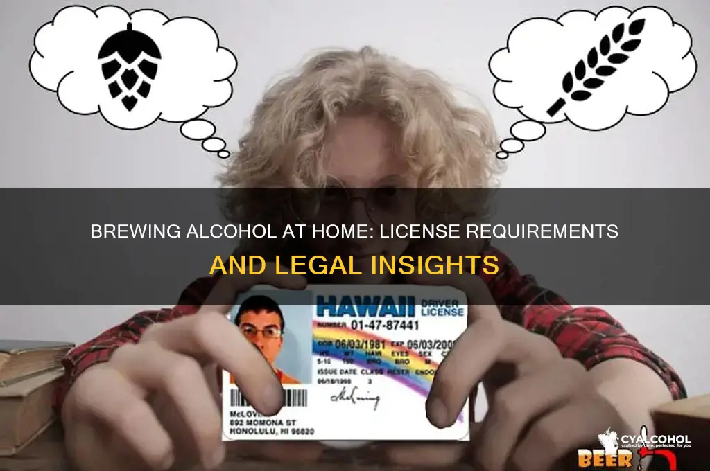 Brewing Alcohol At Home: License Requirements And Legal Insights ...