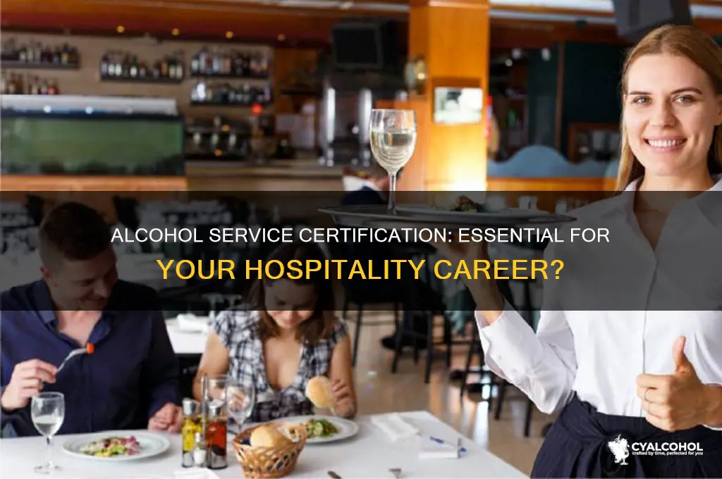 Alcohol Service Certification: Essential For Your Hospitality Career ...