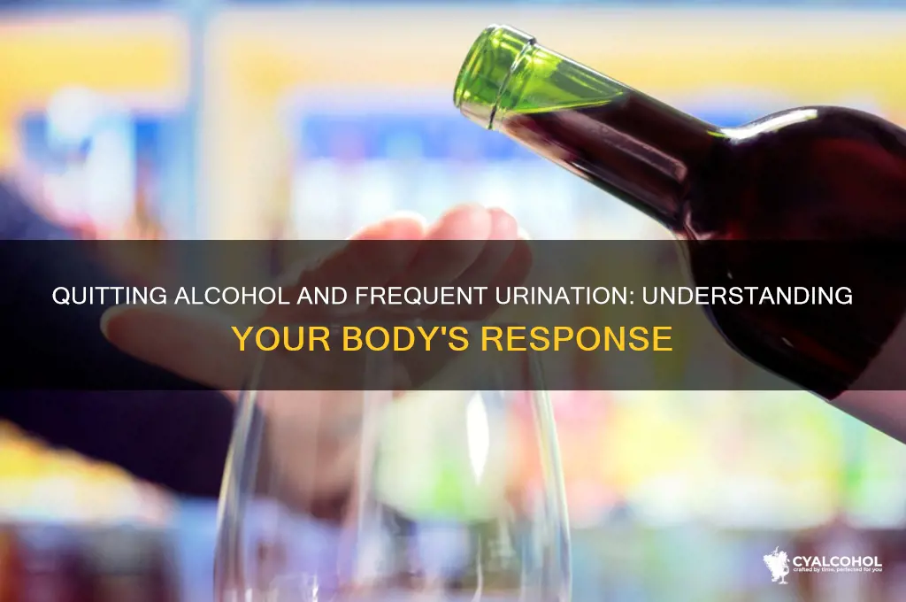 Quitting Alcohol And Frequent Urination: Understanding Your Body's ...