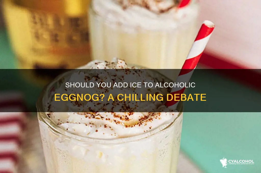 Should You Add Ice To Alcoholic Eggnog? A Chilling Debate | CyAlcohol
