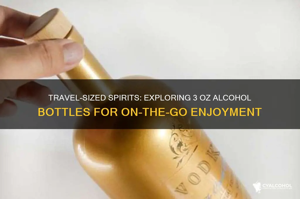 Travel-Sized Spirits: Exploring 3 Oz Alcohol Bottles For On-The-Go ...