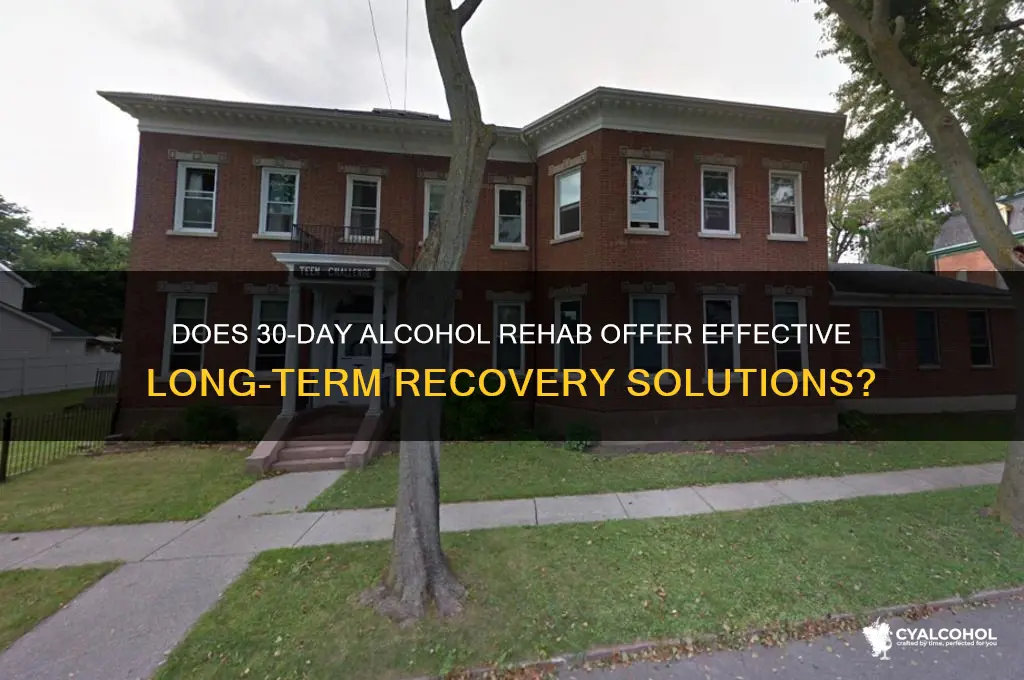 Does 30-Day Alcohol Rehab Offer Effective Long-Term Recovery Solutions ...