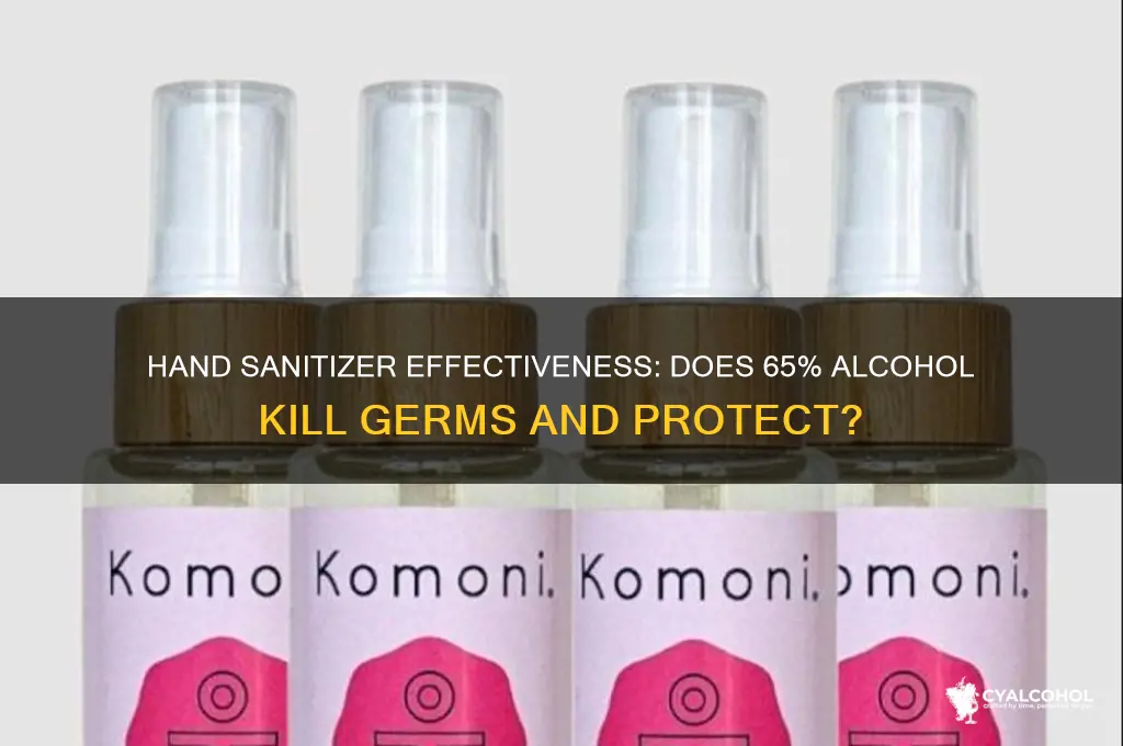 Hand Sanitizer Effectiveness: Does 65% Alcohol Kill Germs And Protect ...