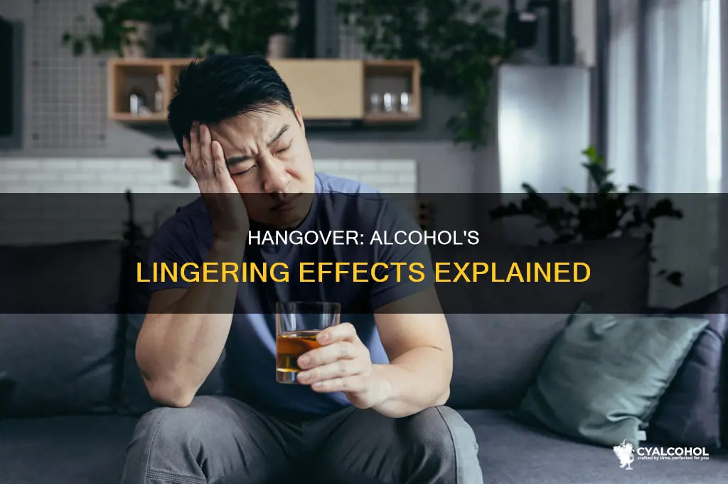 Hangover: Alcohol's Lingering Effects Explained | CyAlcohol