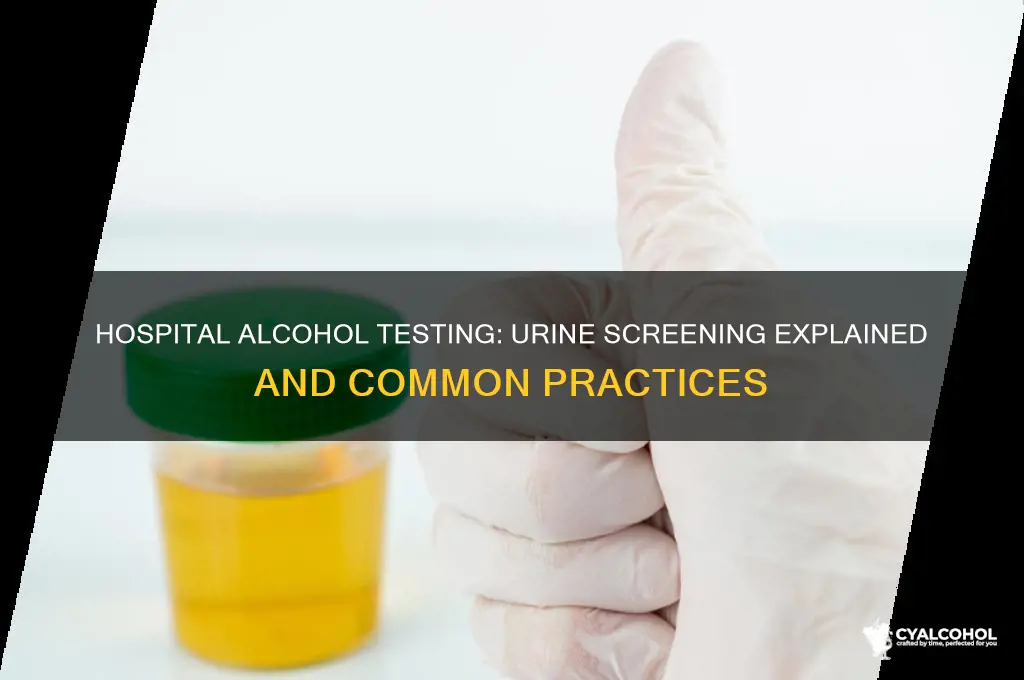 Hospital Alcohol Testing: Urine Screening Explained And Common ...