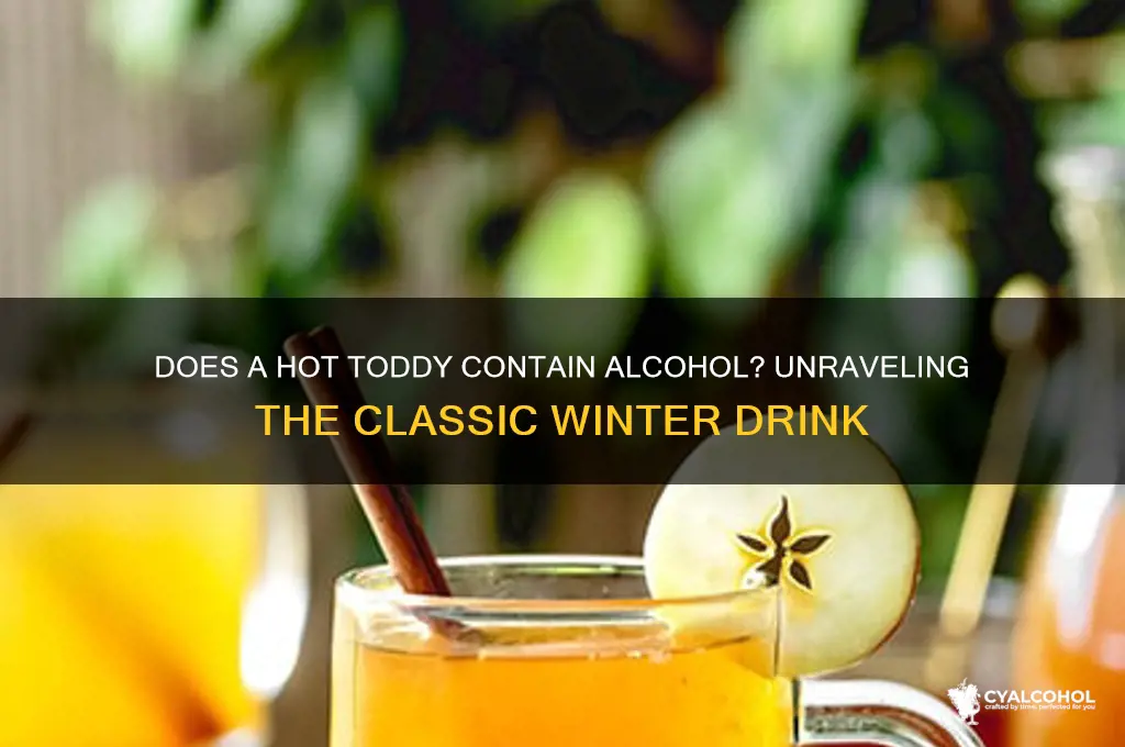 Does A Hot Toddy Contain Alcohol? Unraveling The Classic Winter Drink ...