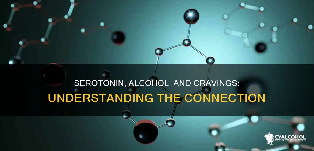 Serotonin, Alcohol, And Cravings: Understanding The Connection | CyAlcohol