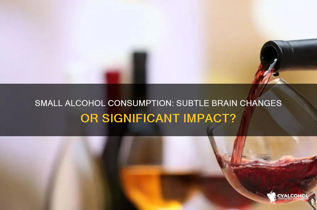 Small Alcohol Consumption: Subtle Brain Changes Or Significant Impact ...