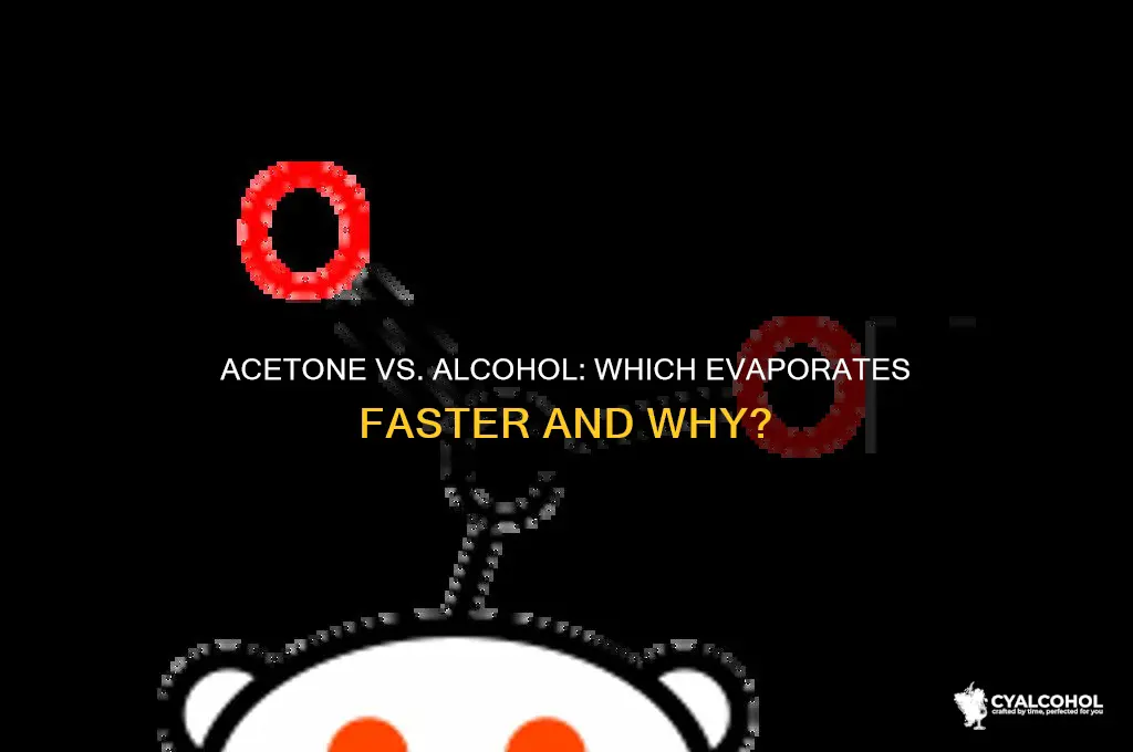 Acetone Vs. Alcohol: Which Evaporates Faster And Why? | CyAlcohol