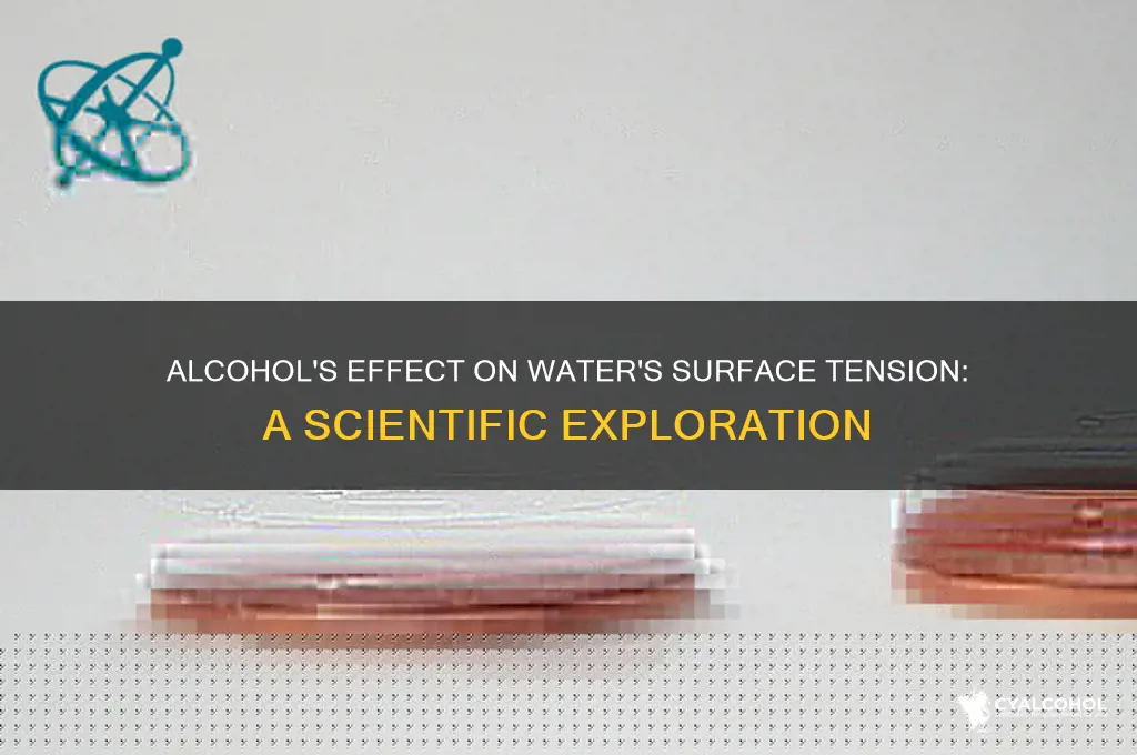 Alcohol's Effect On Water's Surface Tension: A Scientific Exploration ...