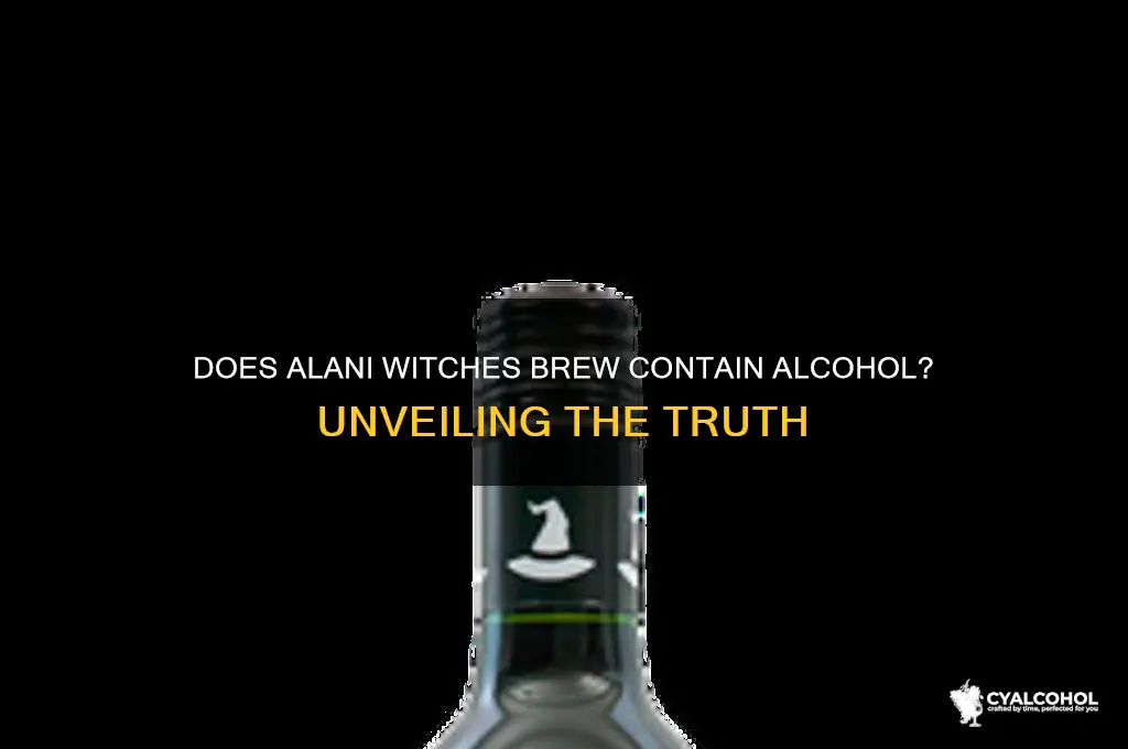 Does Alani Witches Brew Contain Alcohol? Unveiling The Truth | CyAlcohol