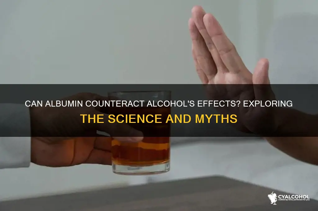 Can Albumin Counteract Alcohol's Effects? Exploring The Science And ...