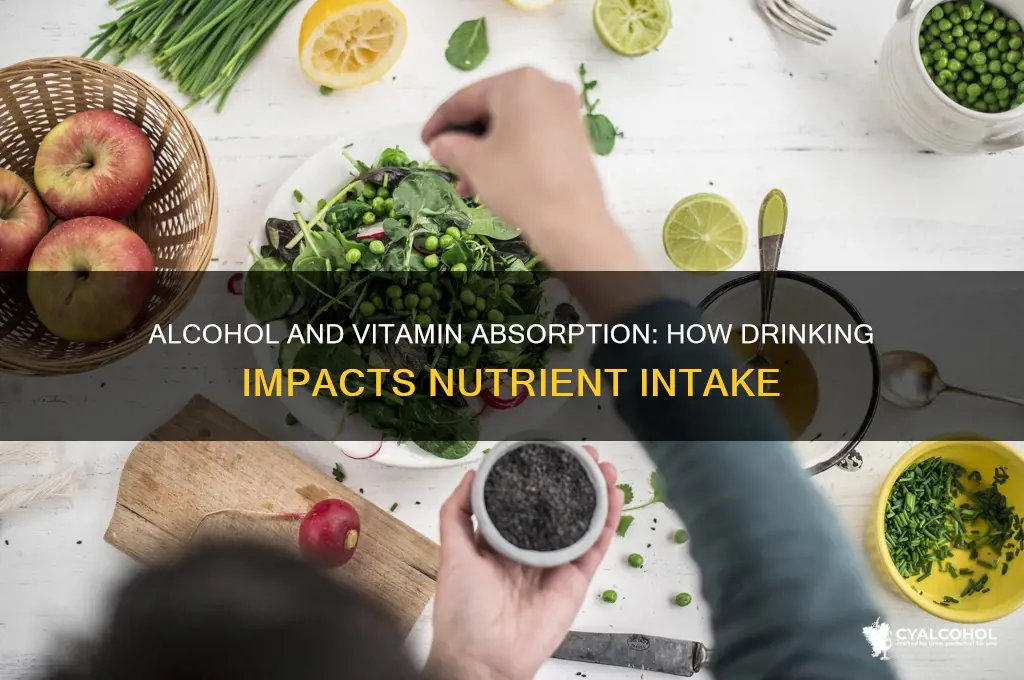 Alcohol And Vitamin Absorption: How Drinking Impacts Nutrient Intake ...