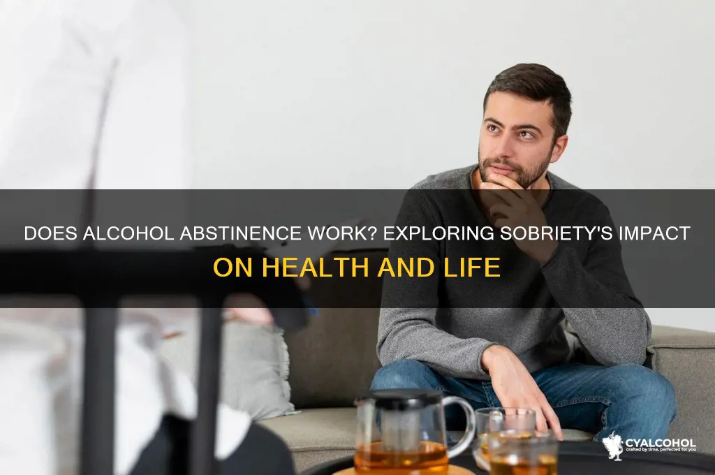 Does Alcohol Abstinence Work? Exploring Sobriety's Impact On Health And ...