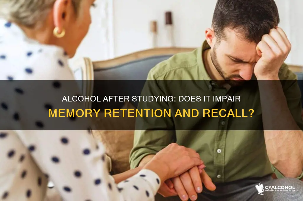 Alcohol After Studying: Does It Impair Memory Retention And Recall ...