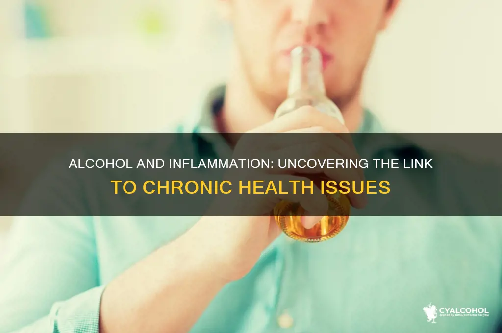 Alcohol And Inflammation: Uncovering The Link To Chronic Health Issues ...