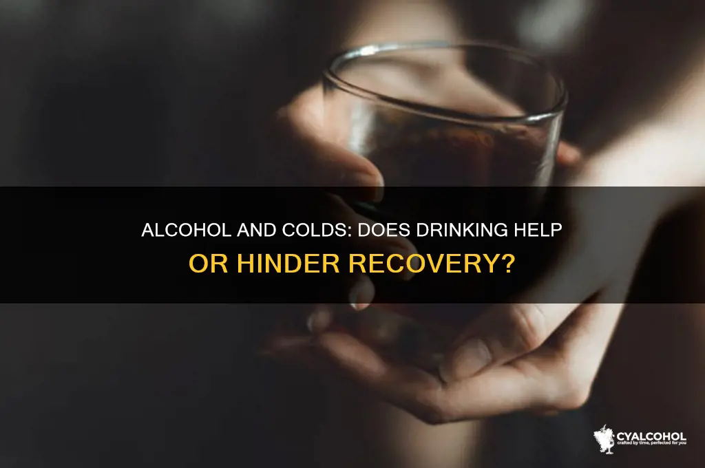 Alcohol And Colds: Does Drinking Help Or Hinder Recovery? | CyAlcohol