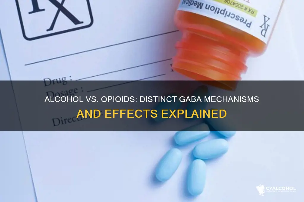 Alcohol Vs. Opioids: Distinct Gaba Mechanisms And Effects Explained ...