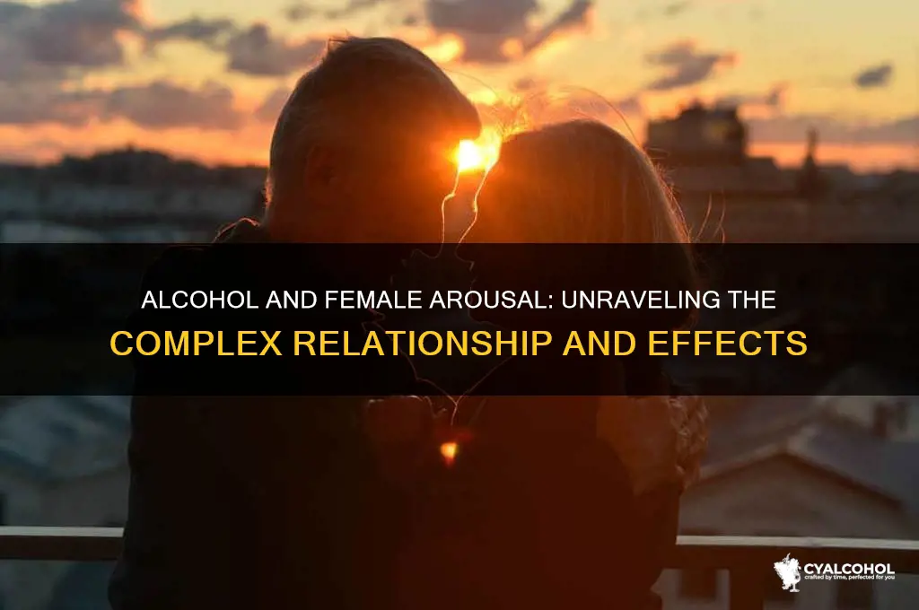 Alcohol And Female Arousal: Unraveling The Complex Relationship And ...