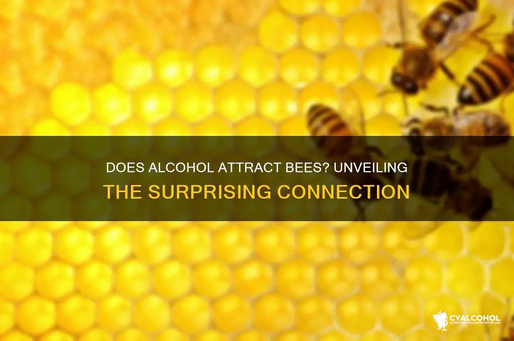 Does Alcohol Attract Bees? Unveiling The Surprising Connection | CyAlcohol