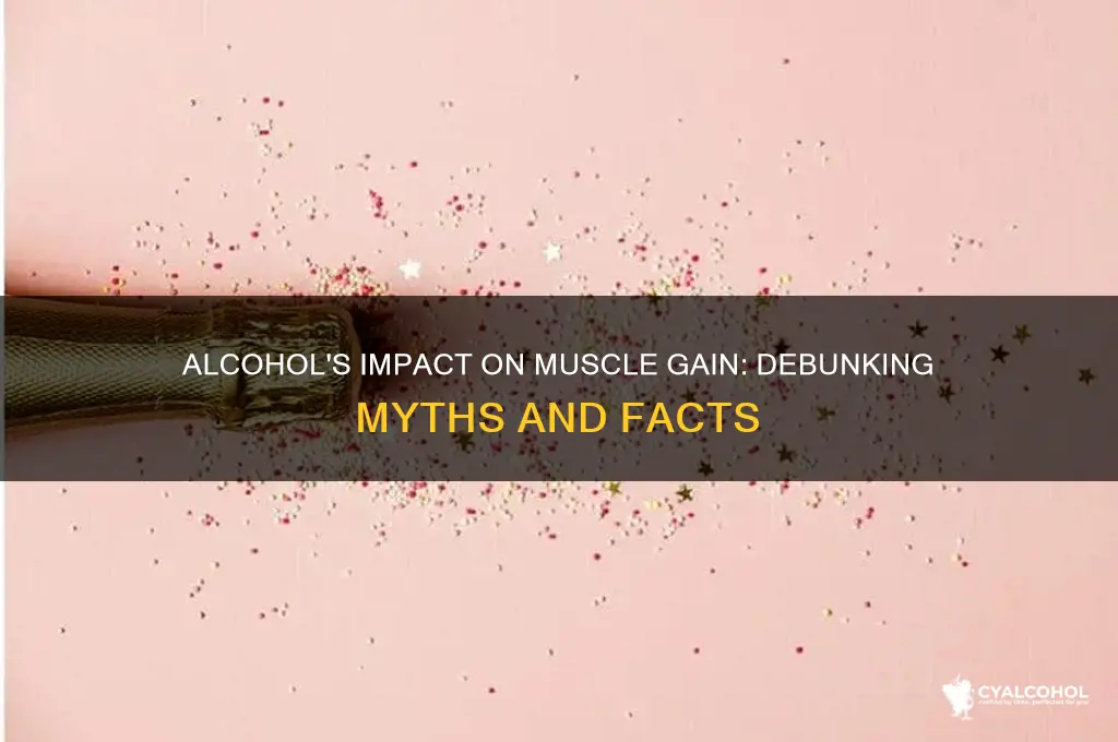 Alcohol's Impact On Muscle Gain: Debunking Myths And Facts | CyAlcohol